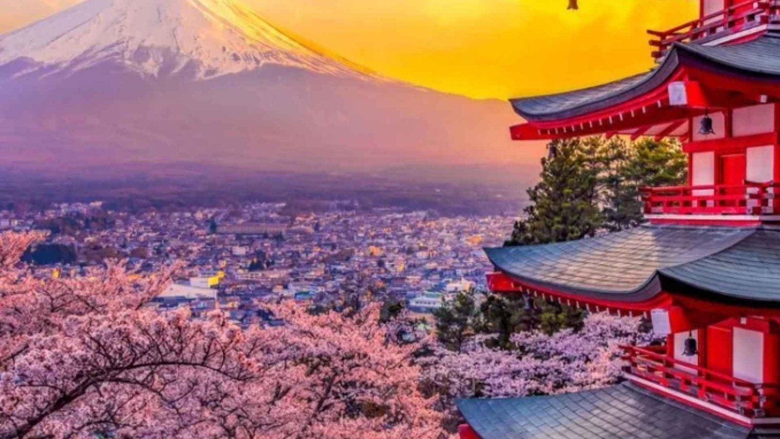 How to Study in Japan from India Complete Guide Gotojapannow